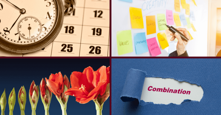 How to Organize Printed Photos: 4 Methods to Save Them All